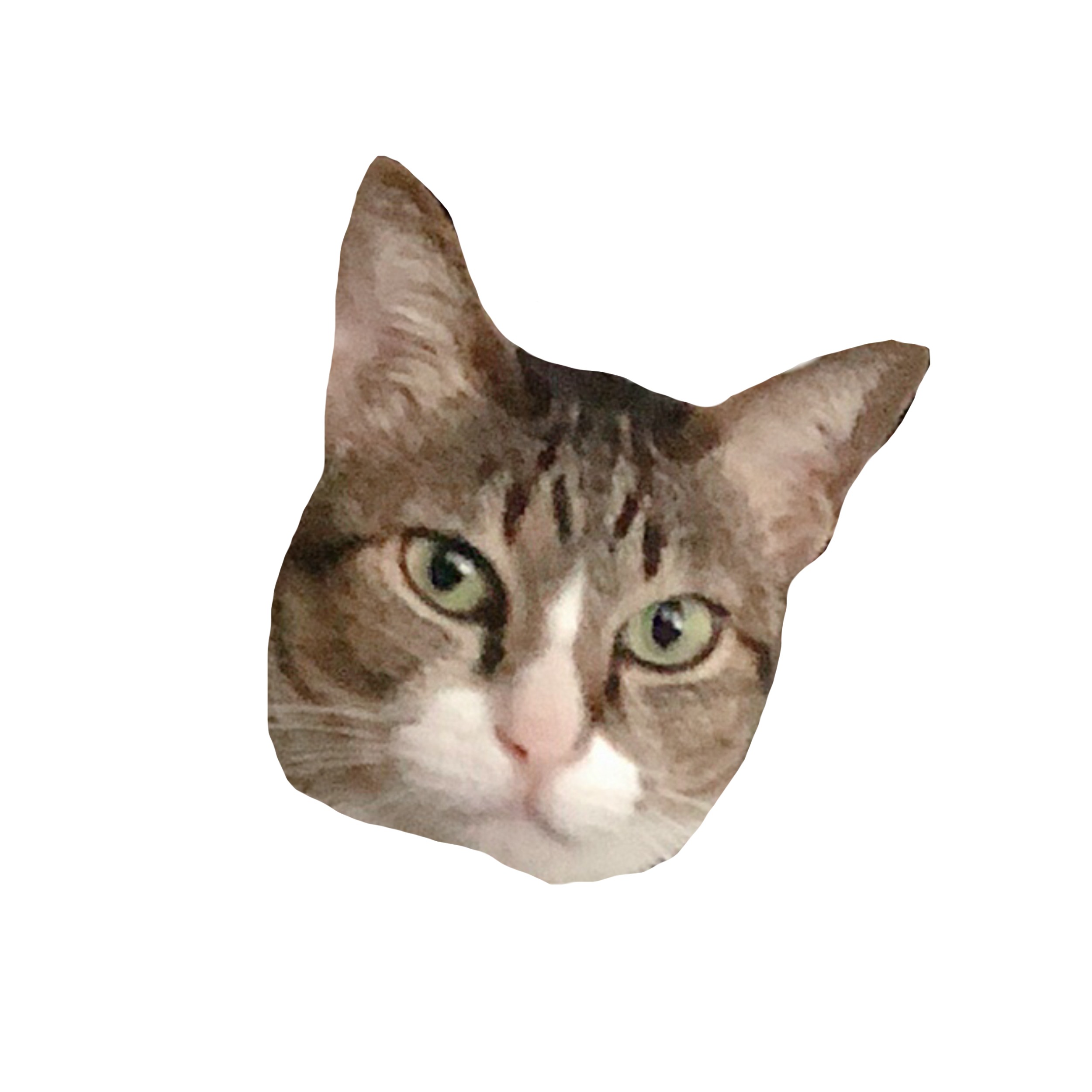 ann.thitima | Pinkoi | แบรนด์ของดีไซเนอร์