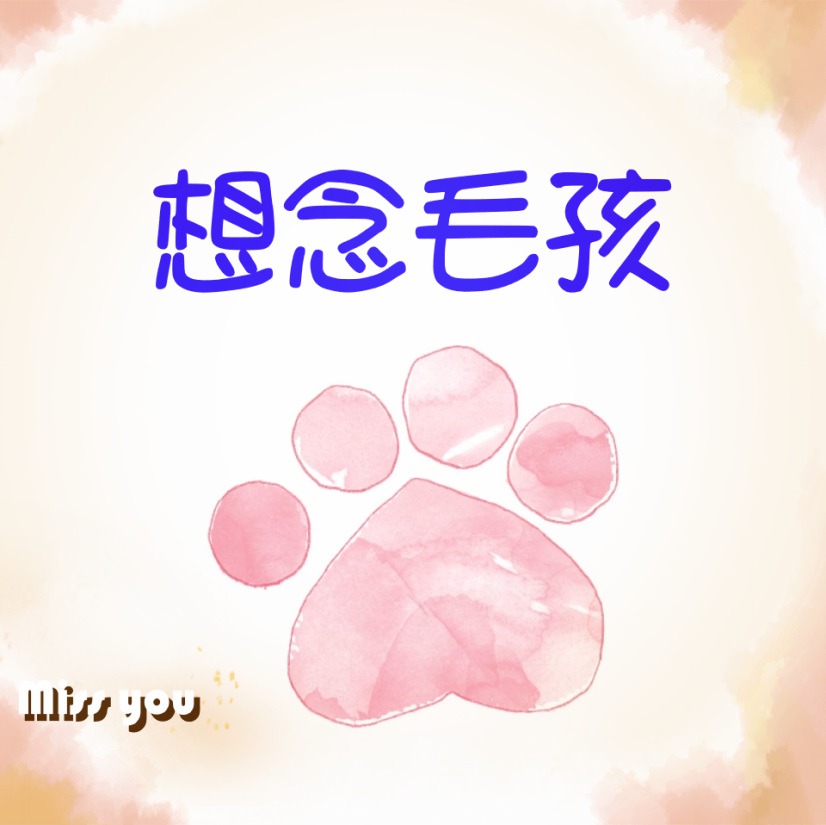 想念毛孩Miss you - 官方線上商店 | Pinkoi 全系列好評上架中