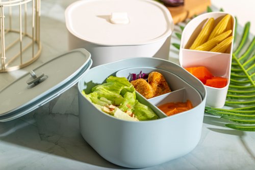 Daily lunch box full version 2 included in the lunch box - Shop zingtw ...