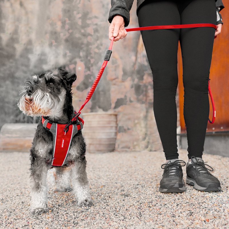 【澳洲EZYDOG】X減壓胸背帶 XS - 設計館 澳洲EzyDog寵物用品 項圈/牽繩 - Pinkoi