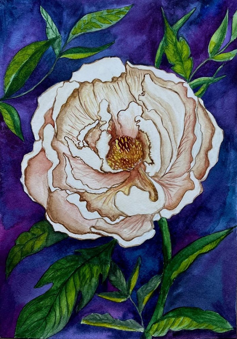 Peony/ Watercolor on paper A4 Tanya Belart｜海報/掛畫/掛布人氣榜 - Pinkoi