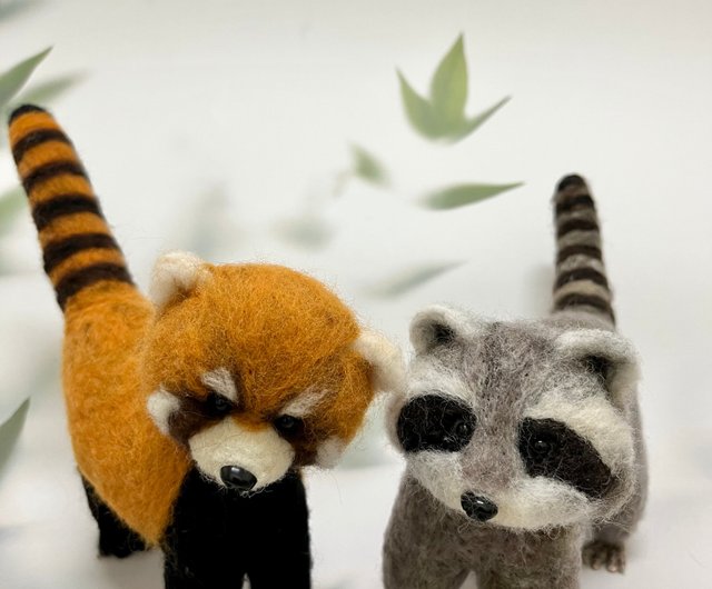 Red Panda Raccoon Related To