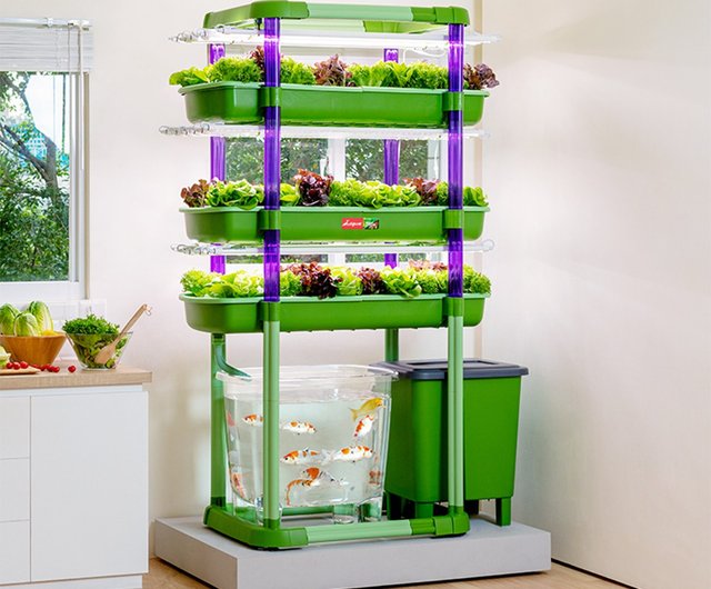 Large Indoor Aquaponics Systems A Beginner's Guide To Aquaponics