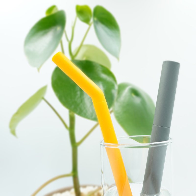 隨你PAD彩虹吸管 環保吸管 可長可短-粗細雙入優惠組 PADPAD 墊一店｜其他人氣榜 - Pinkoi