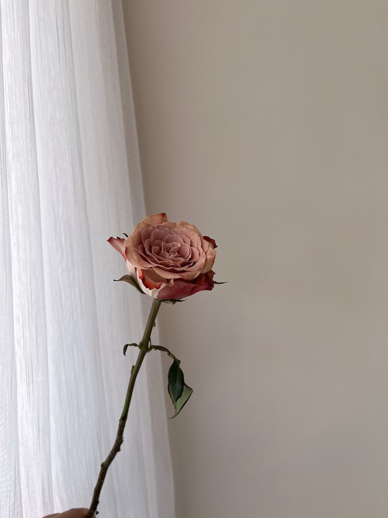 客製化商品 花沐HUA MU｜乾燥花/永生花人氣榜 - Pinkoi