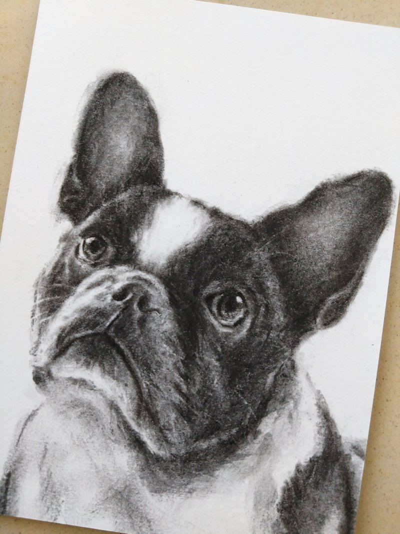 手繪炭筆畫狗仔似顏繪 寵物畫 連框 SOPH｜似顏繪/客製畫人氣榜 - Pinkoi