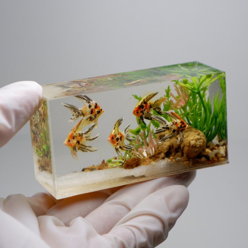 Miniature clay discus fish in the tank Animomal Aquatic Craft｜擺飾/家飾品人氣榜 ...