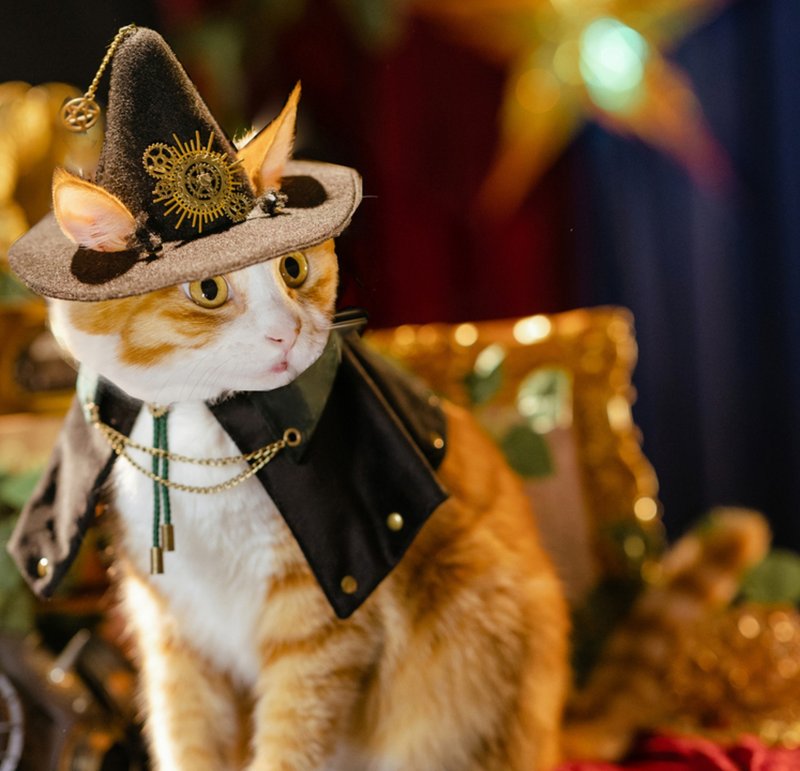 [Cat Wizard Hat] Steampunk Retro Pet Costume Prop - Shop steamland-cn ...