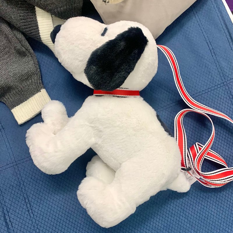 Snoopy 史努比玩偶提袋 史奴比側背包包 肥碩生活｜側背包/斜背包人氣榜 - Pinkoi