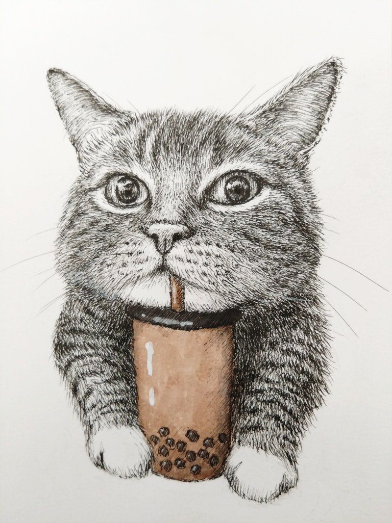 手繪貓咪似顏繪 獨一無二寵物畫 連框 SOPH｜似顏繪/客製畫人氣榜 - Pinkoi