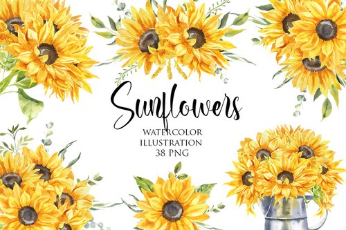 Watercolor floral illustration – Sunflowers, Yellow flowers. PNG - Shop ...