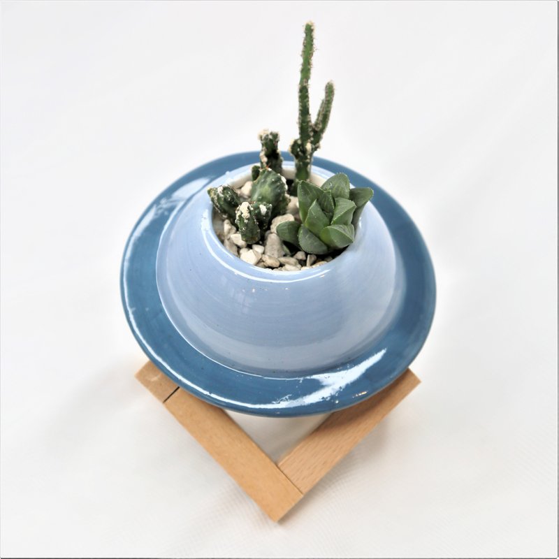 MERCURY水星肉 | 多肉植物 療癒盆栽 Flower Plus +｜植栽/盆栽人氣榜 - Pinkoi