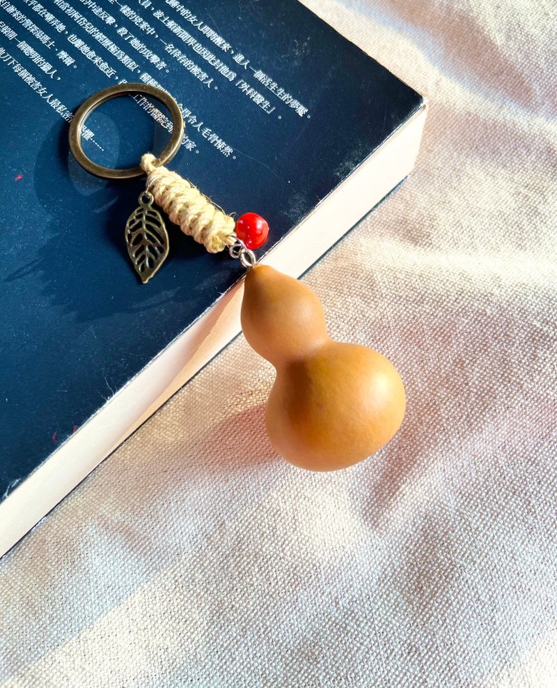 Gourd Keychain - Dried Fruit Seeds/Plants - Shop hopeseed Keychains ...