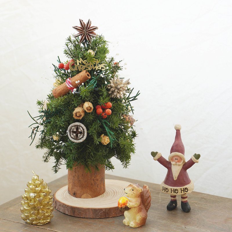 【聖誕小物】歡樂滿分永生聖誕樹 (兩款) SUN 風格花物｜乾燥花/永生花人氣榜 - Pinkoi