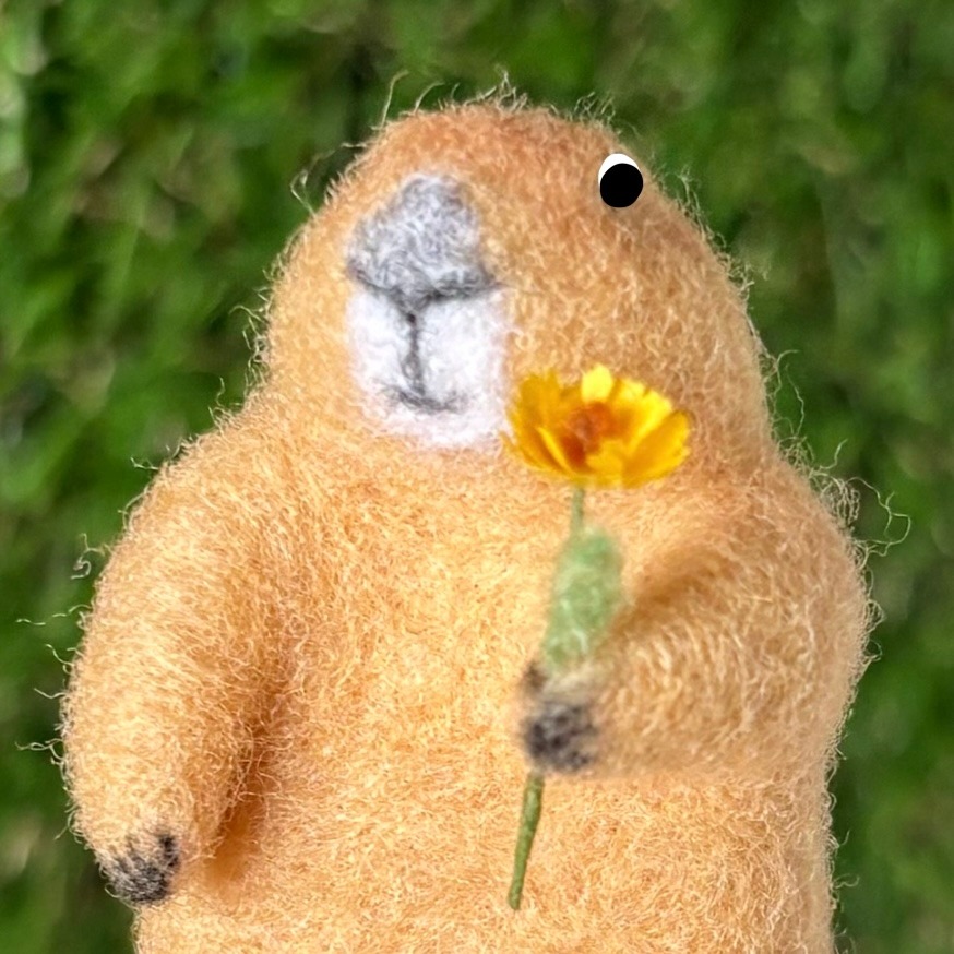 Minibb - 官方線上商店 | Pinkoi 全系列好評上架中