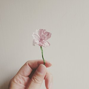 mo-flos - 官方線上商店 | 日本品牌 | Pinkoi