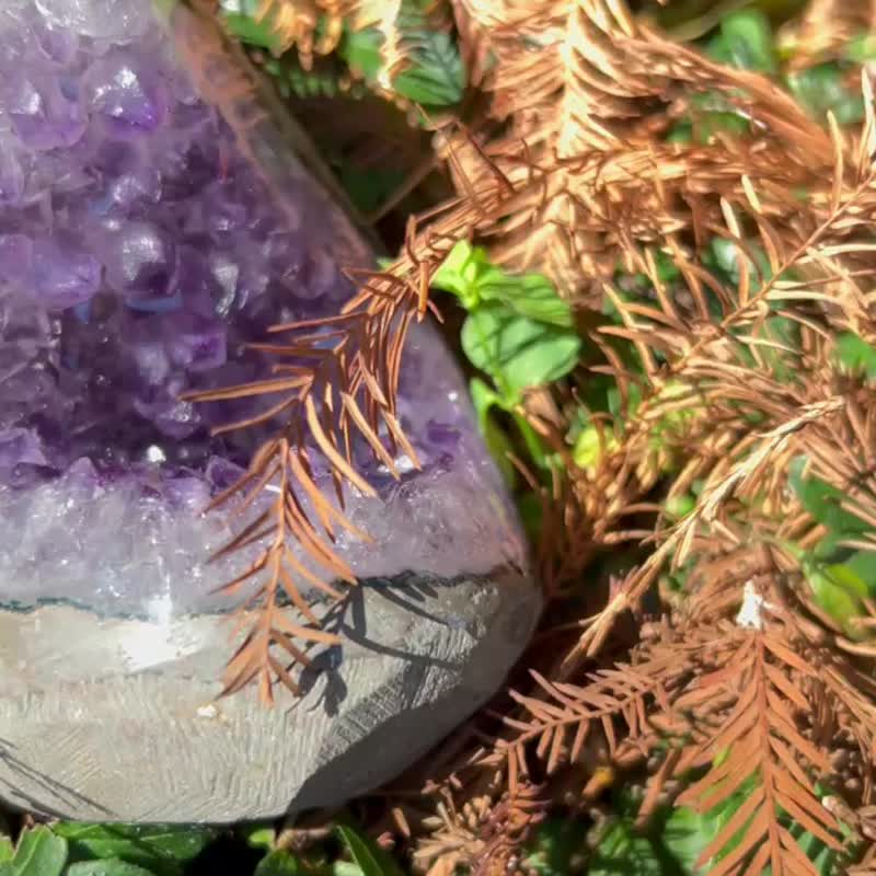 Huaguang-Zangjing Pavilion | Uruguay Amethyst Geode | Life Huaguang-Zangjing Pavilion | Uruguay Amethyst Geode | Life